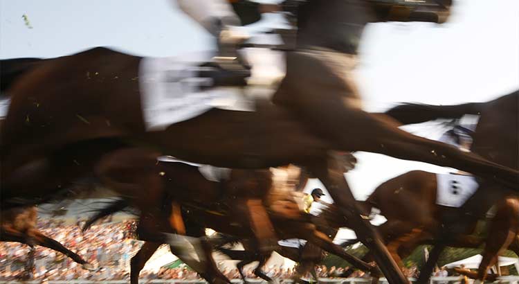 Melbourne Cup Office ideas for an Unforgettable Celebration | Vanilla Blue